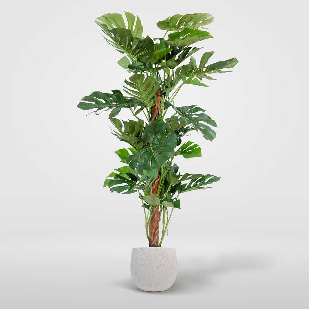 Planta artificial Monstera Tutor Exclusive