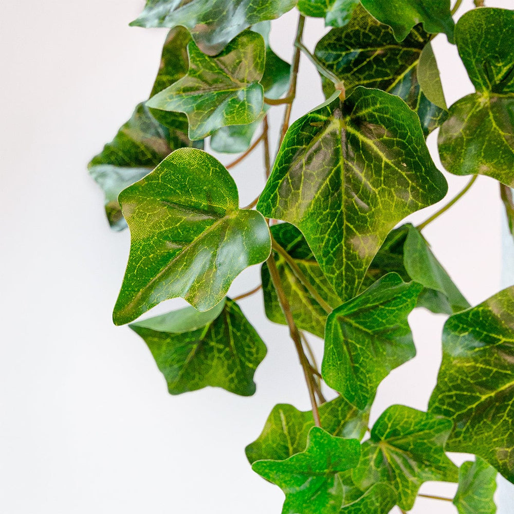 Artificial Ivy Nova