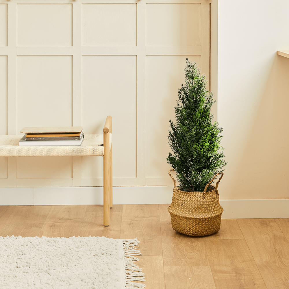 Artificial plant Seto Tuya