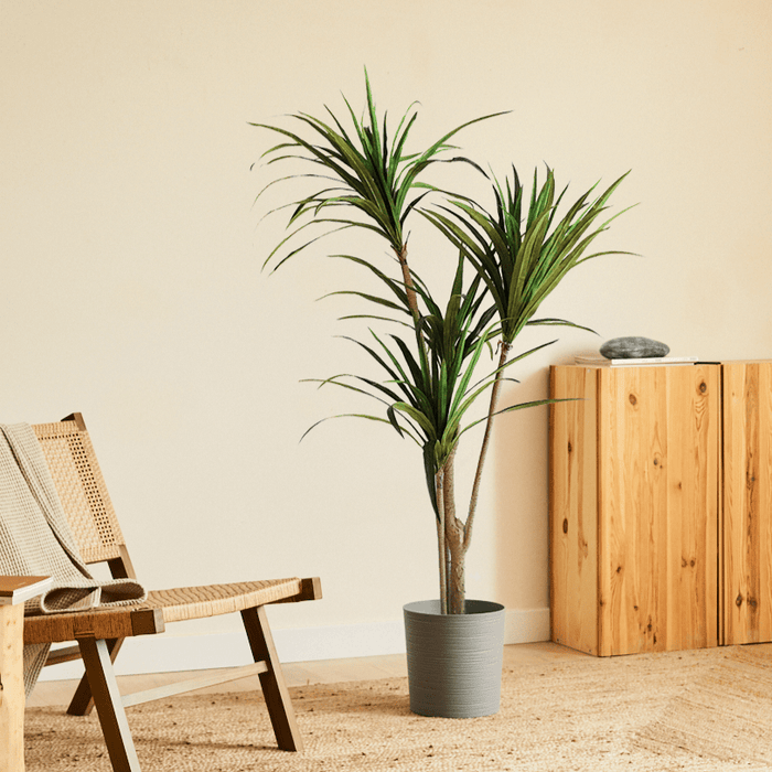 Artificial Yucca Fit